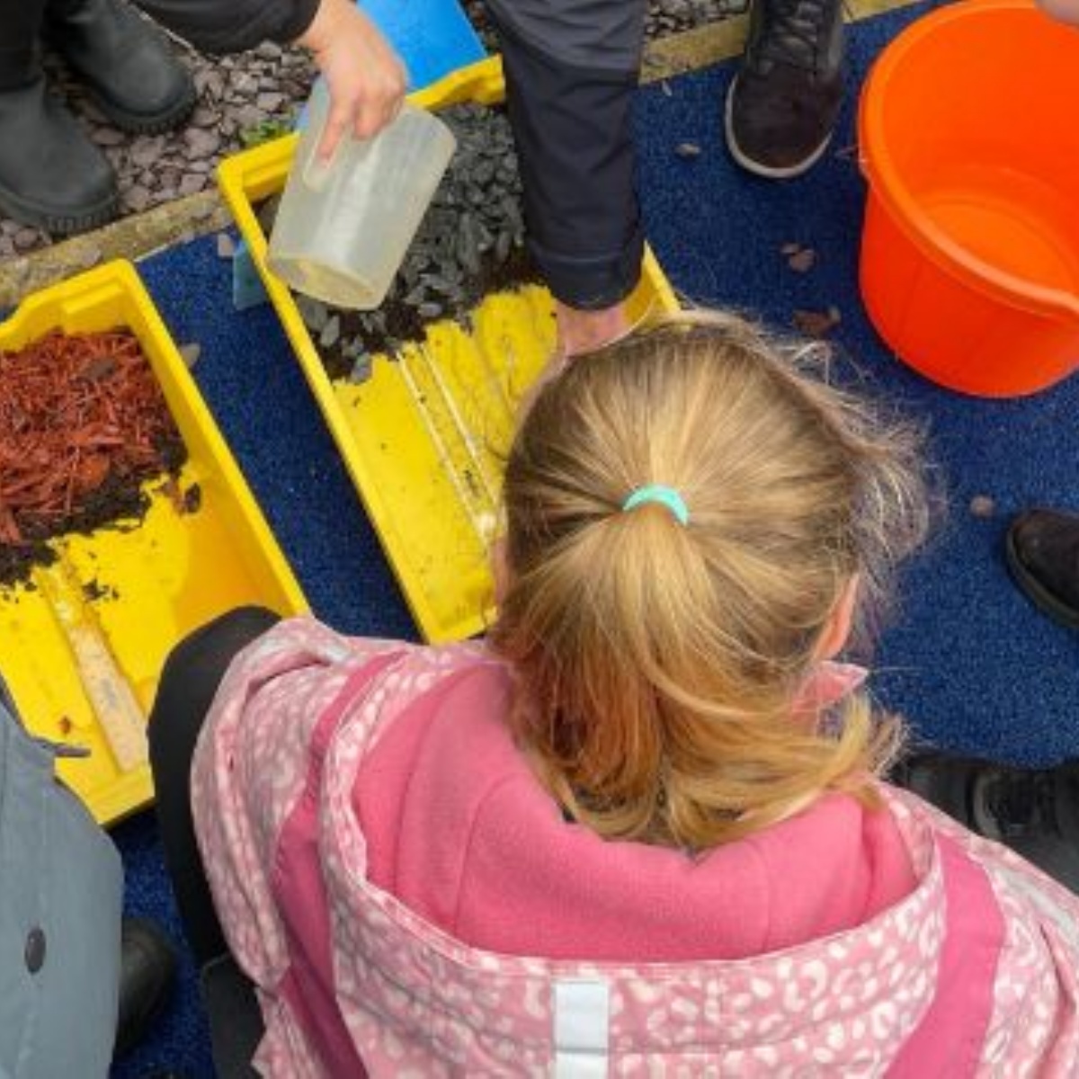 Nether Edge Primary - School News